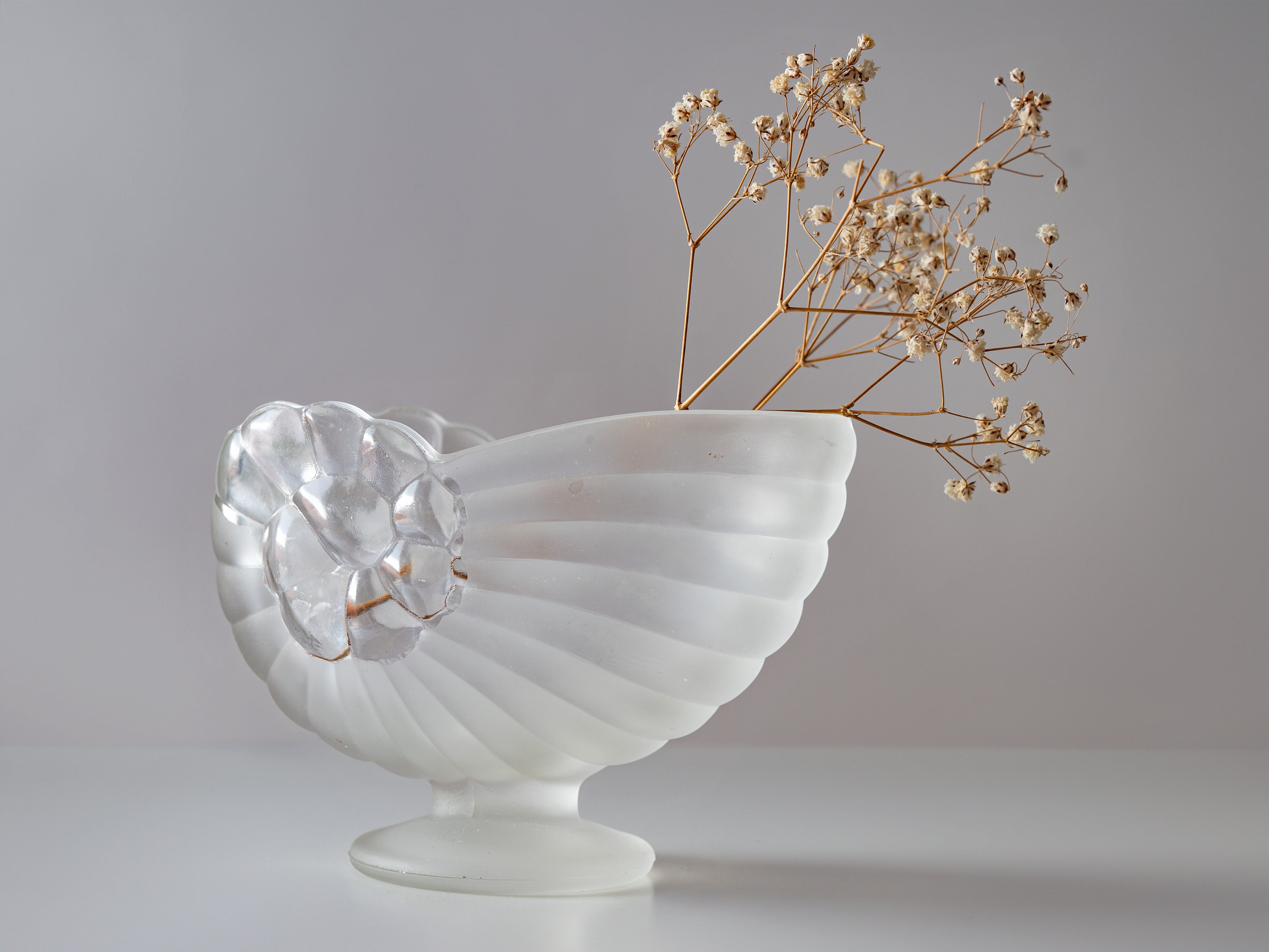 Satin Glass Nautilus Shell Vase, Vintage Art Nouveau Art Deco Style ...