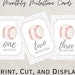 Baseball Baby Milestone Cards - Etsy