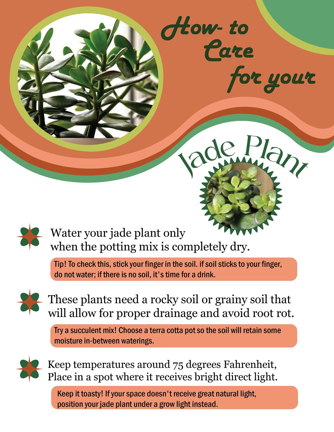 Free Downloadable Plant Care Guides - Etsy