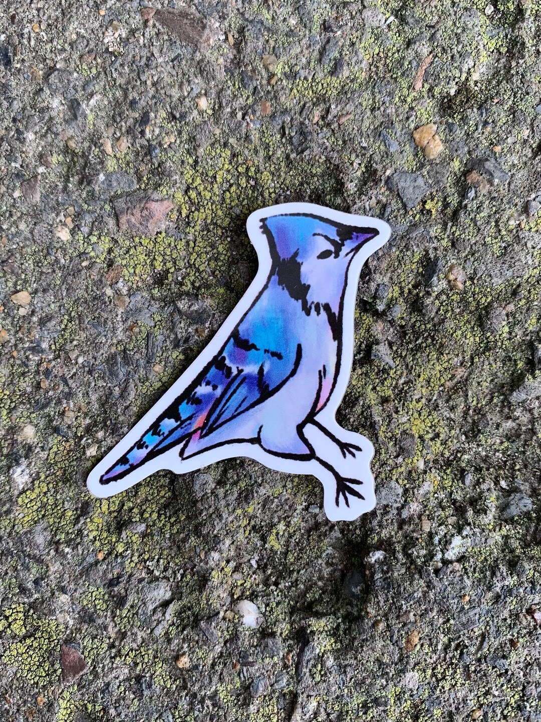 Blue Jay Sticker - Etsy