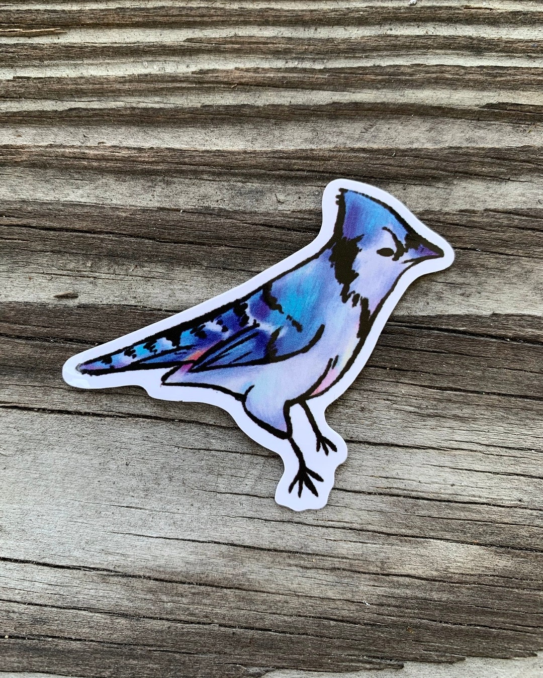 Blue Jay Sticker - Etsy