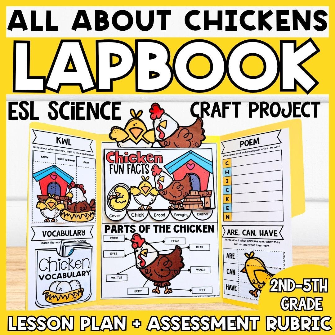 Chicken Life Cycle Lapbook – ESL Science Craft Project for Grades 2-5 ...