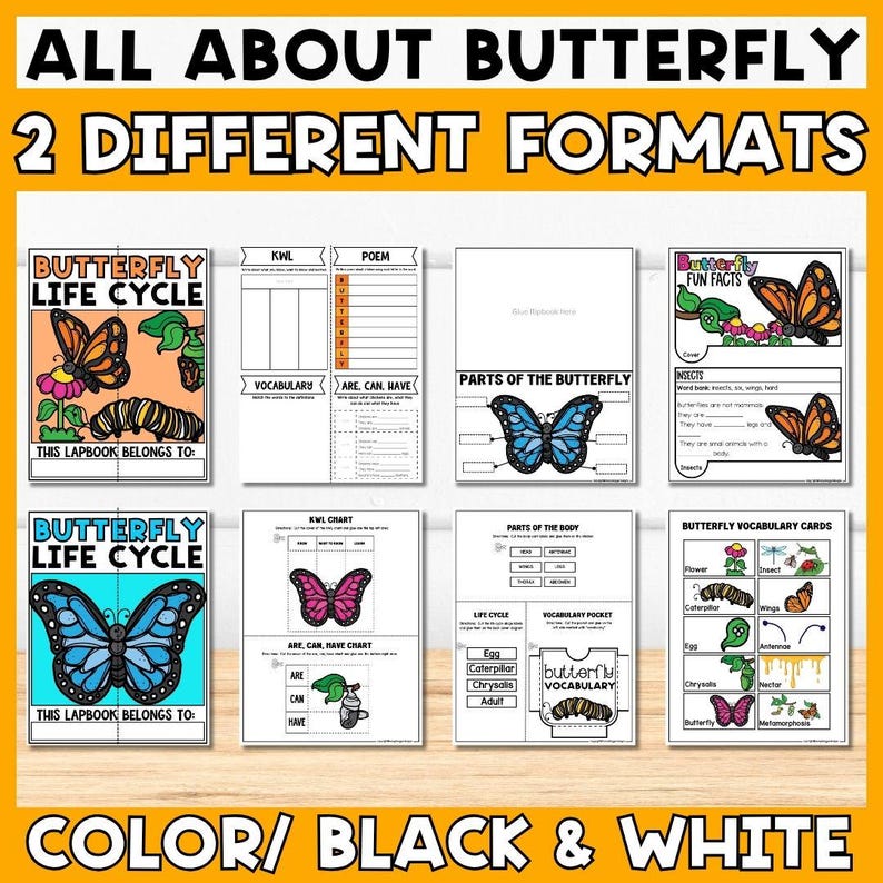 Butterfly Life Cycle Lapbook – ESL Science Craft Project for Grades 2-5 ...