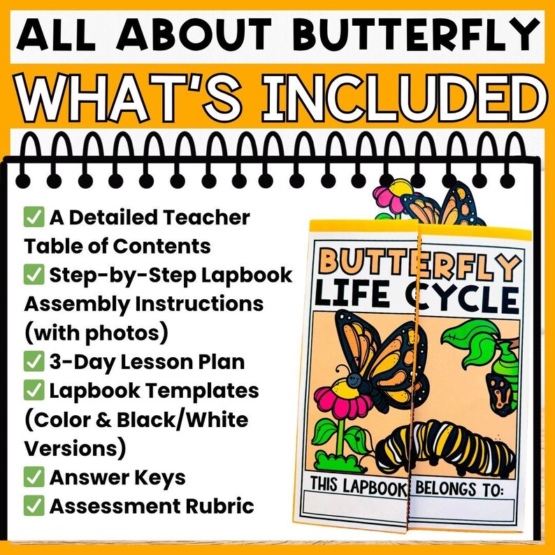 Butterfly Life Cycle Lapbook – ESL Science Craft Project for Grades 2-5 ...