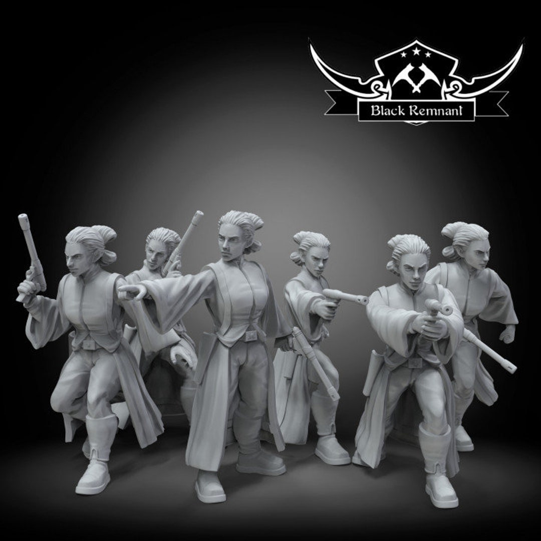 Handmaidens of the Queen Star Wars Legion Shatterpoint Proxy Miniature ...