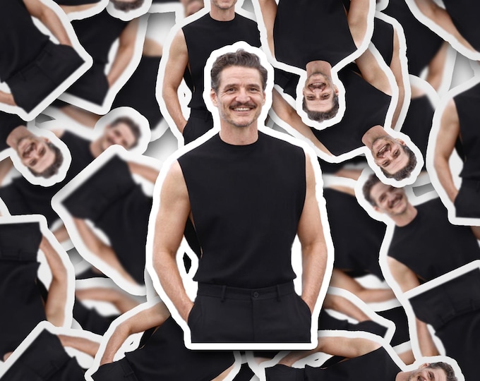 Pedro Pascal Vol. 3 Sticker Pack - Etsy