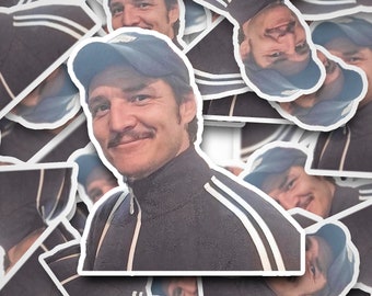 Pedro Pascal Car Meme Sticker Pedro Pascal Vinyl Decal for Laptop ...