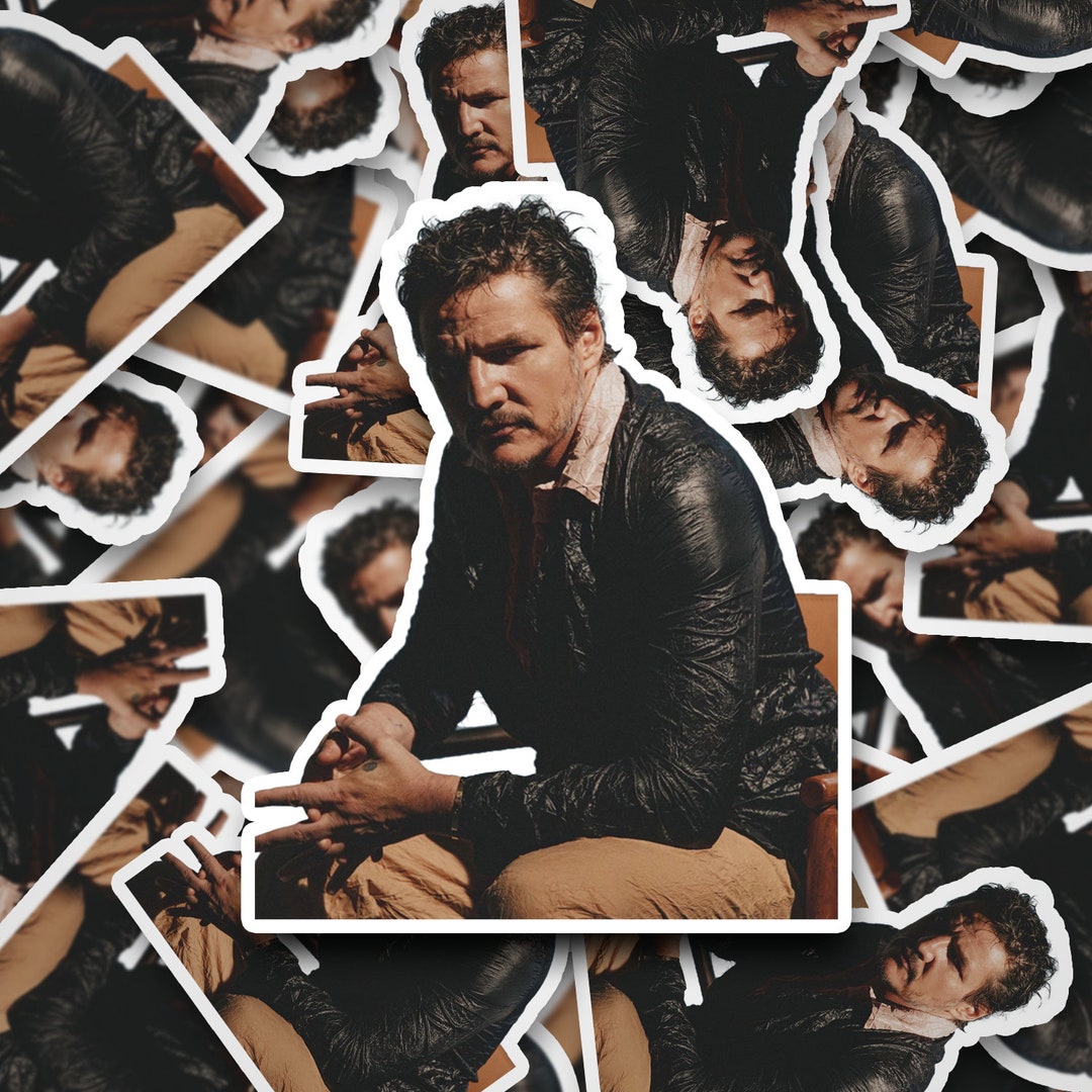 Pedro Pascal Chair Sticker Pedro Pascal Vinyl Decal for Laptop, Tumbler ...