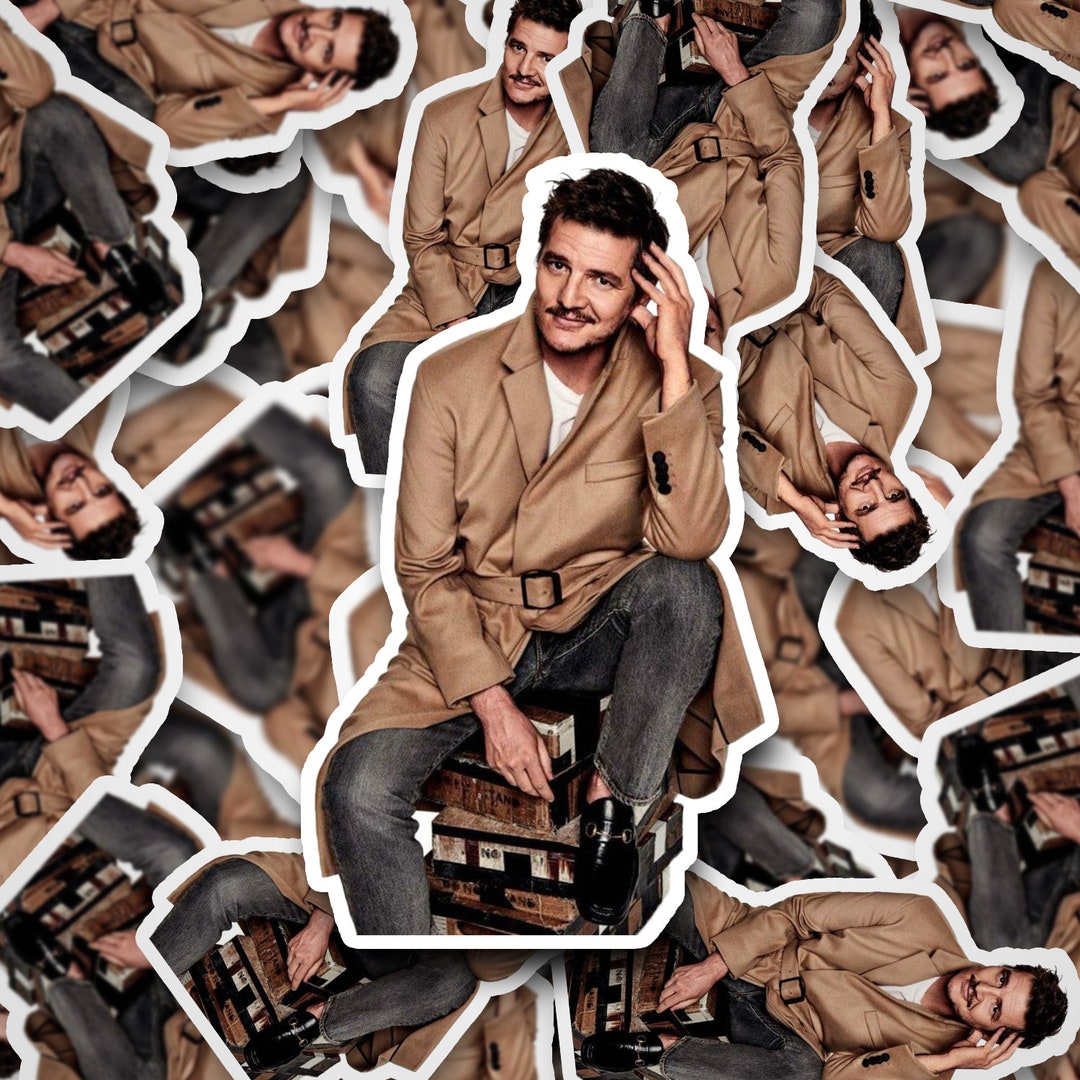 Pedro Pascal Boxes Sticker Pedro Pascal Vinyl Decal for Laptop, Tumbler ...