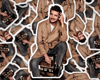 Pedro Pascal Sandwich Meme Sticker Pedro Pascal Vinyl Decal for Laptop ...