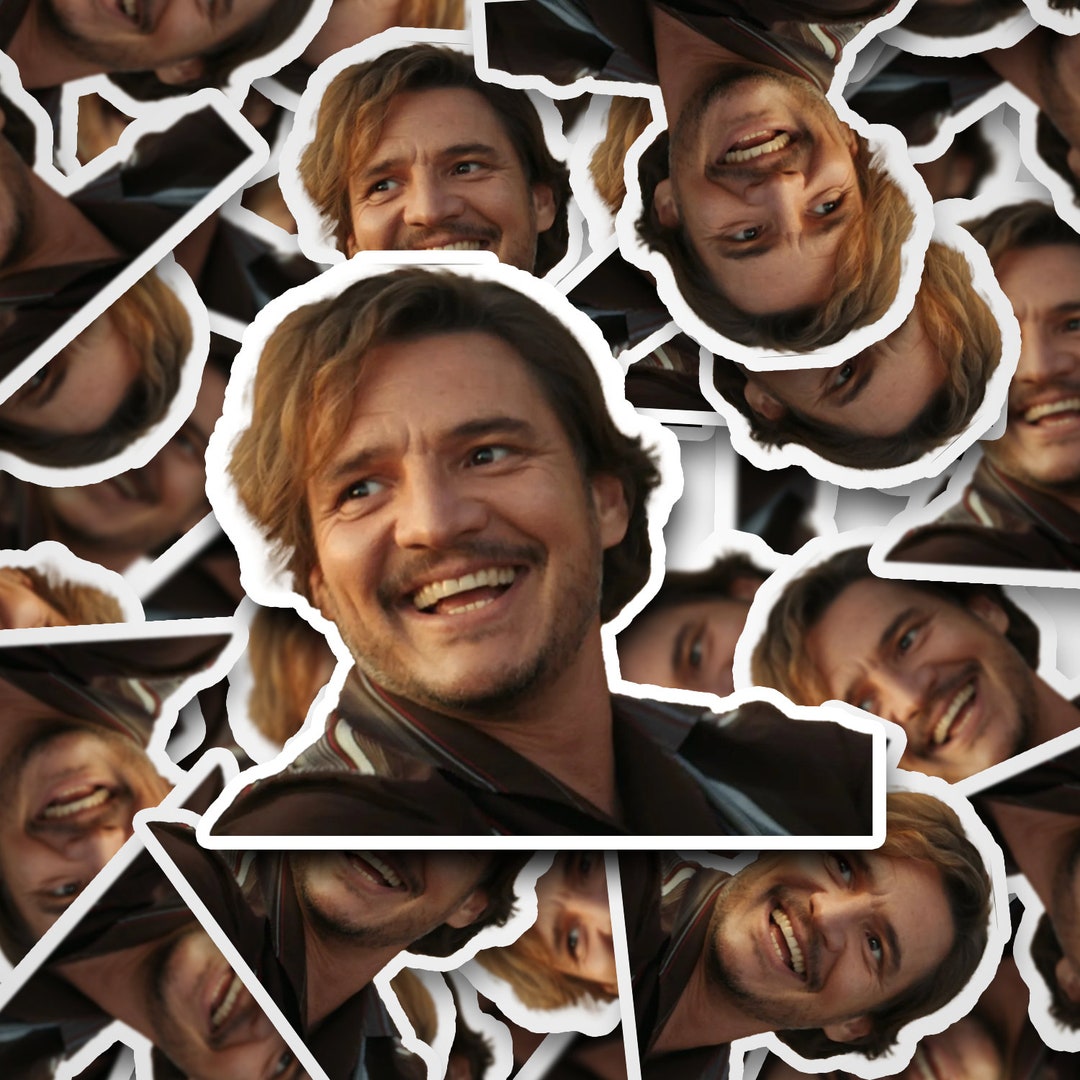 Pedro Pascal Car Meme Sticker Pedro Pascal Vinyl Decal for Laptop ...