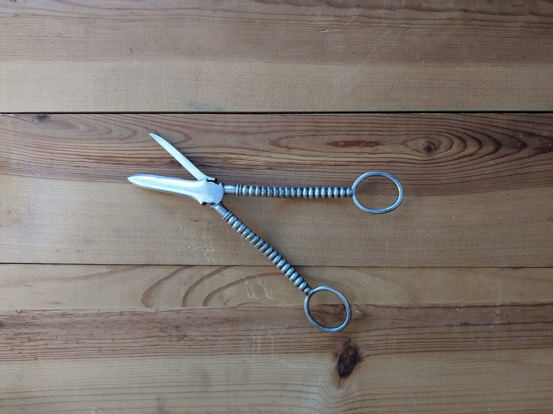 Vintage Art Nouveau Grape Shears Cutters / Dessert Scissors Snippers ...