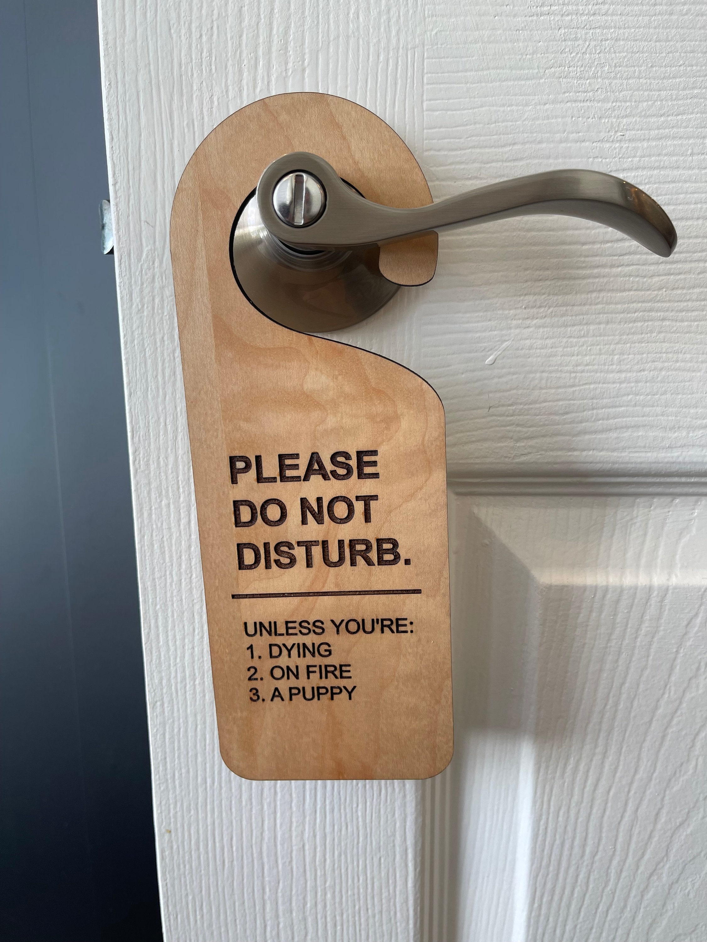 Do Not Disturb Sign, I'm in Here, Work Door Hanger, Door Sign, Office ...