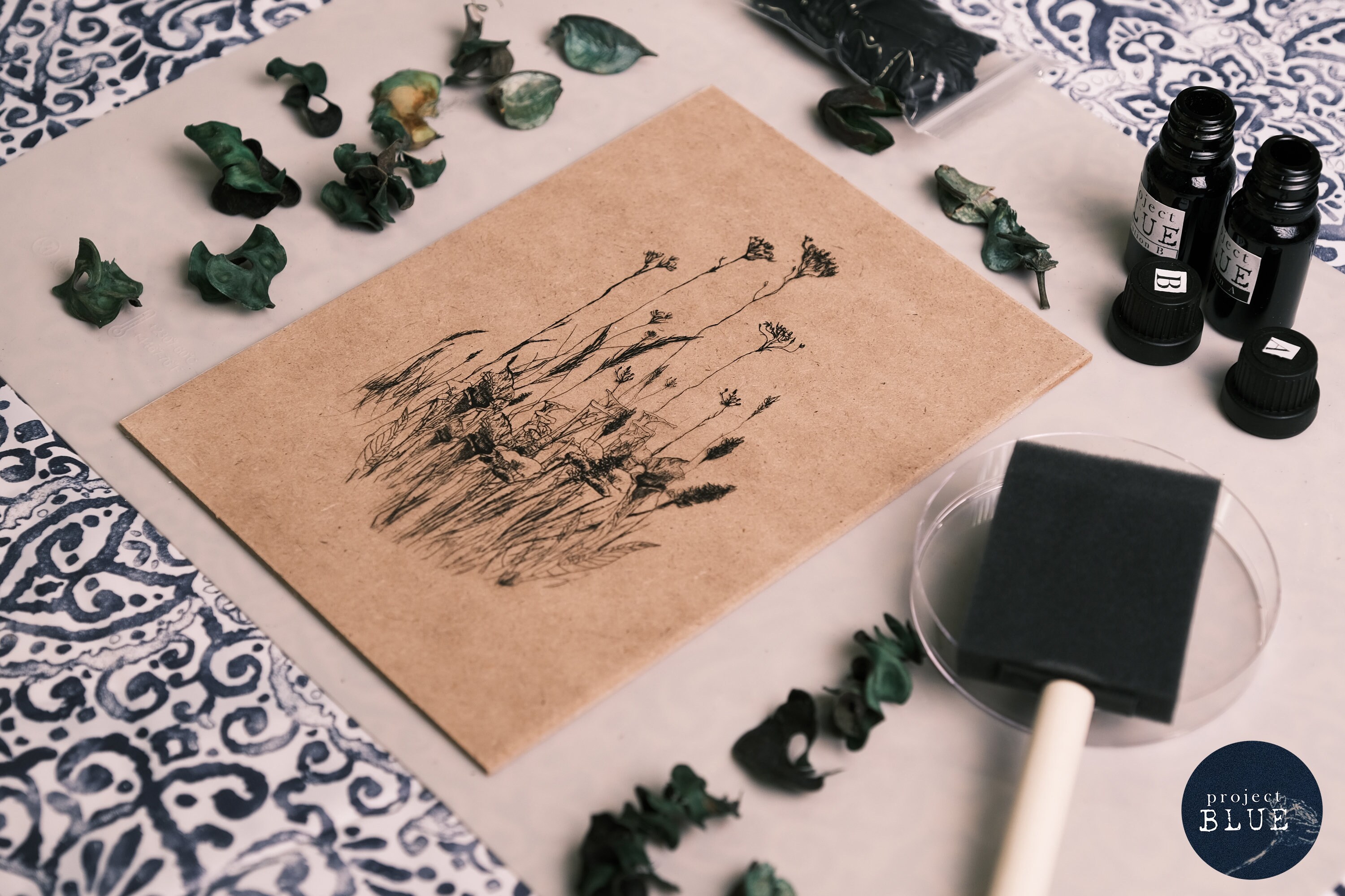 DIY Solar Printing Stencils, Cyanotype Craft Stencils , Solar Printing ...