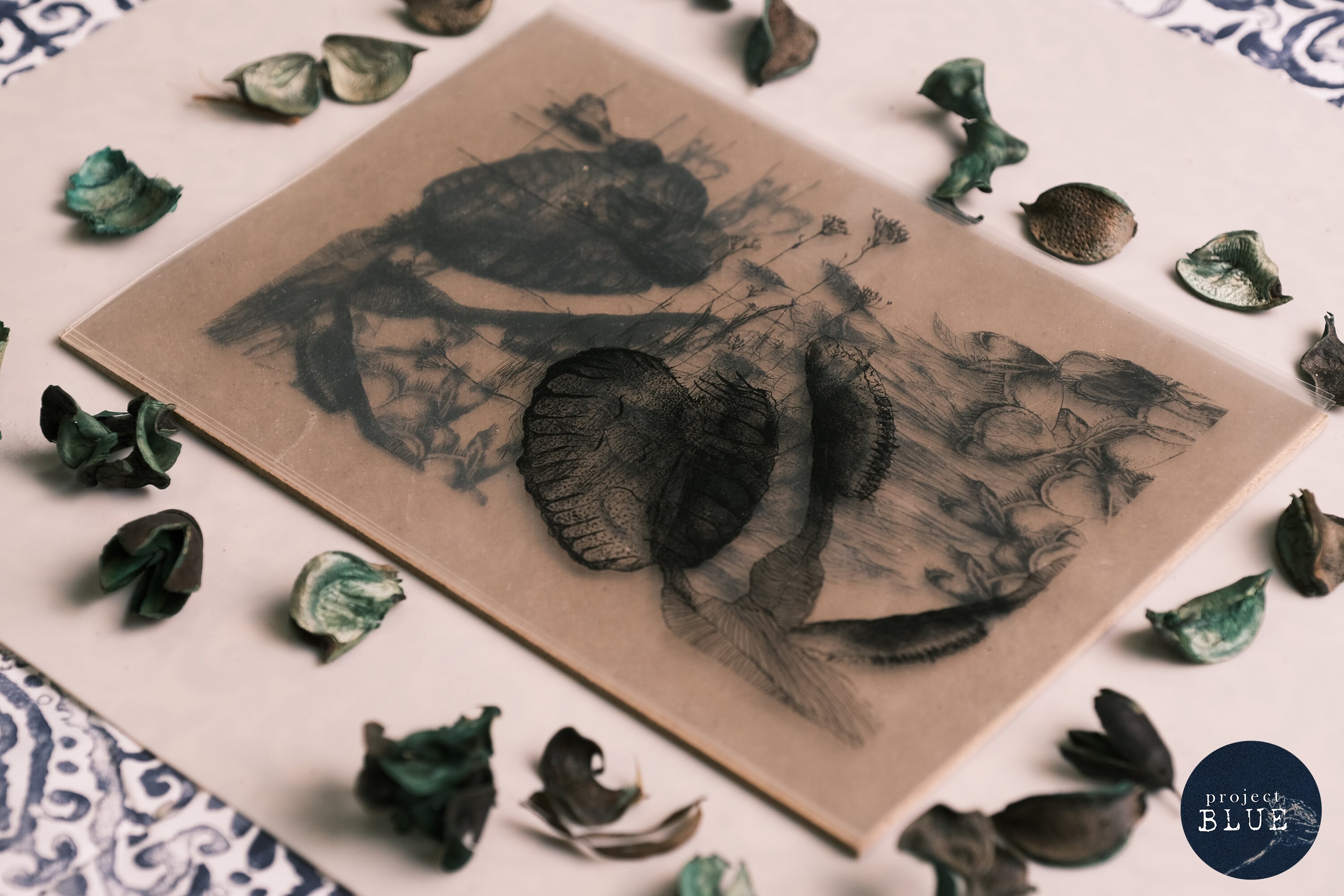 DIY Solar Printing Stencils, Cyanotype Craft Stencils , Solar Printing ...