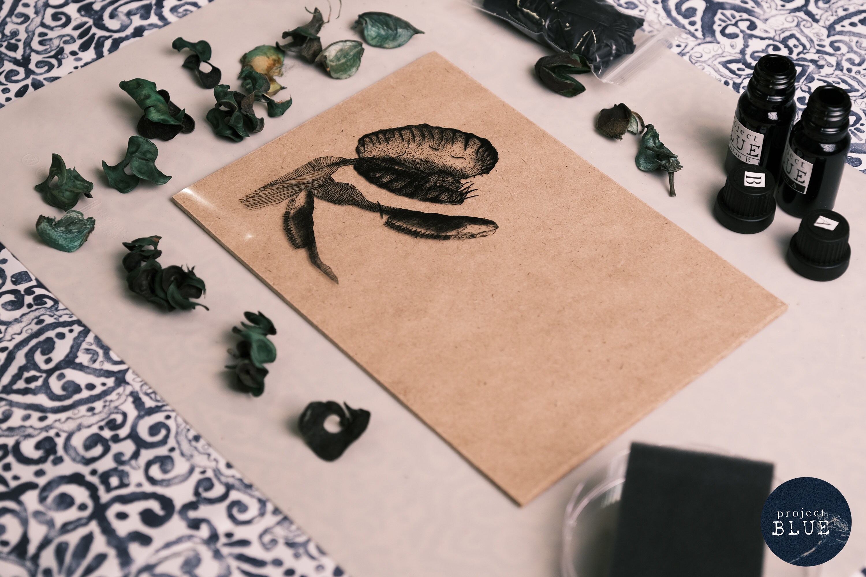 DIY Solar Printing Stencils, Cyanotype Craft Stencils , Solar Printing ...