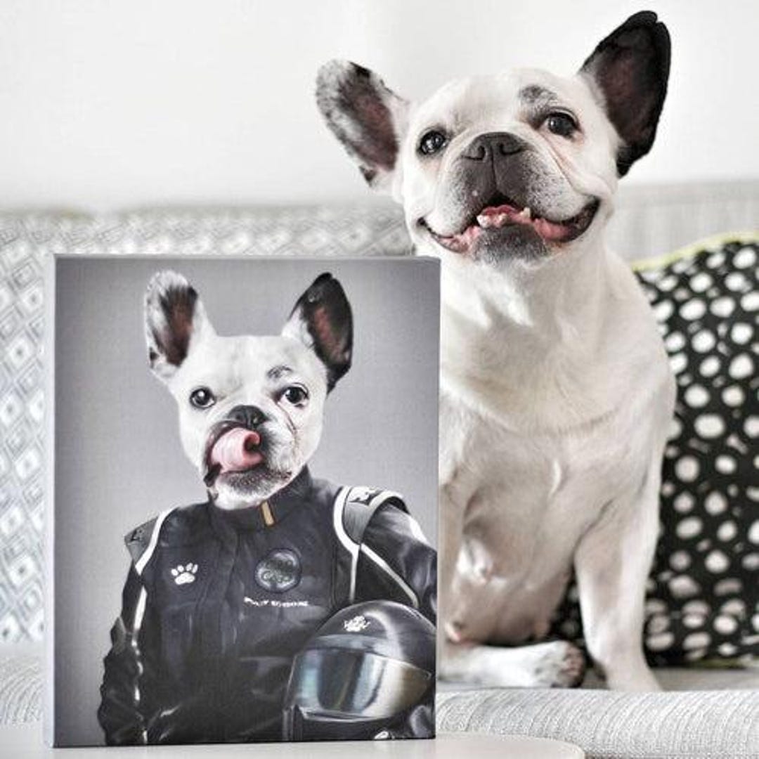 The Race Car Driver Custom Pet Canvas Crown and Paw - Etsy