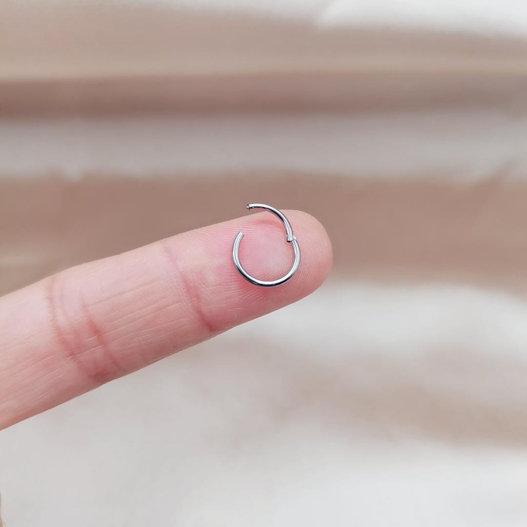 Solid Titanium Implant Grade Nose Ring, Simple Hinged Segment Nose Ring ...