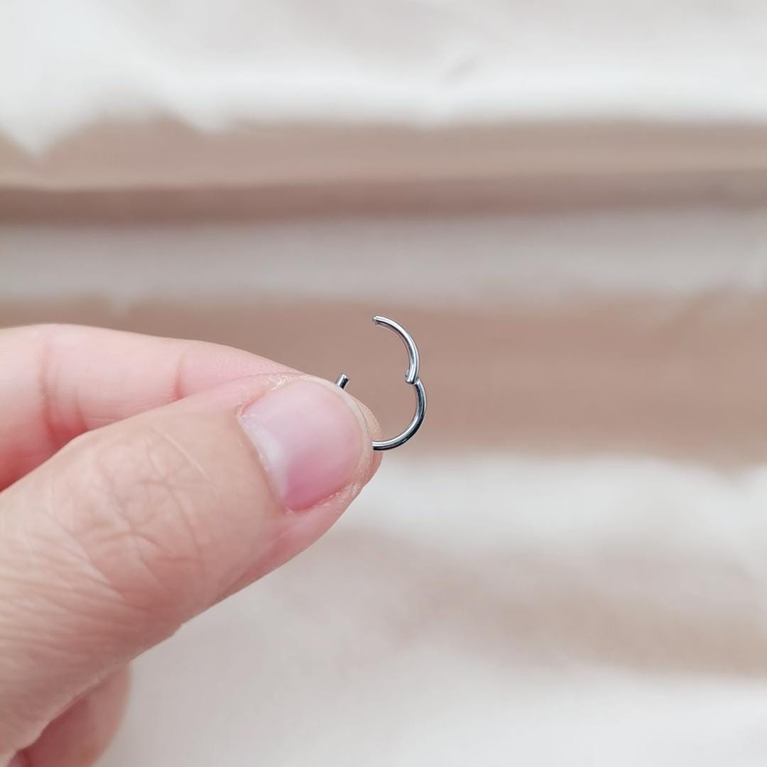 Solid Titanium Implant Grade Nose Ring, Simple Hinged Segment Nose Ring ...