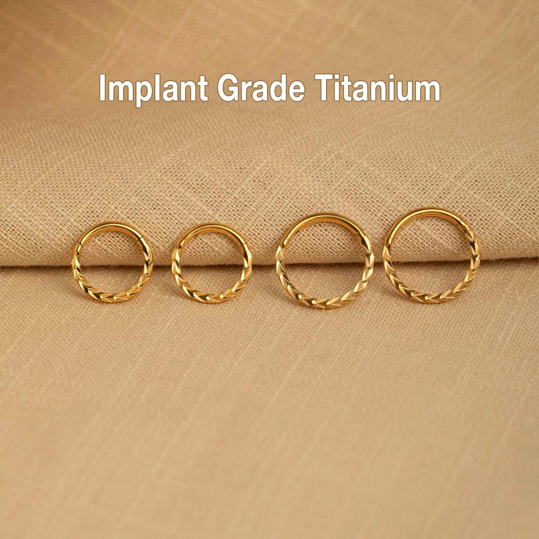 Tiny Nose Hoop Titanium Implant Grade Diamond Cut Nose Ring, Hinged ...