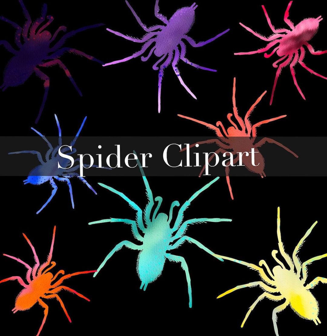 Spider Clipart, Watercolor Spiders, Spider Clip Art, Haloween Clipart ...