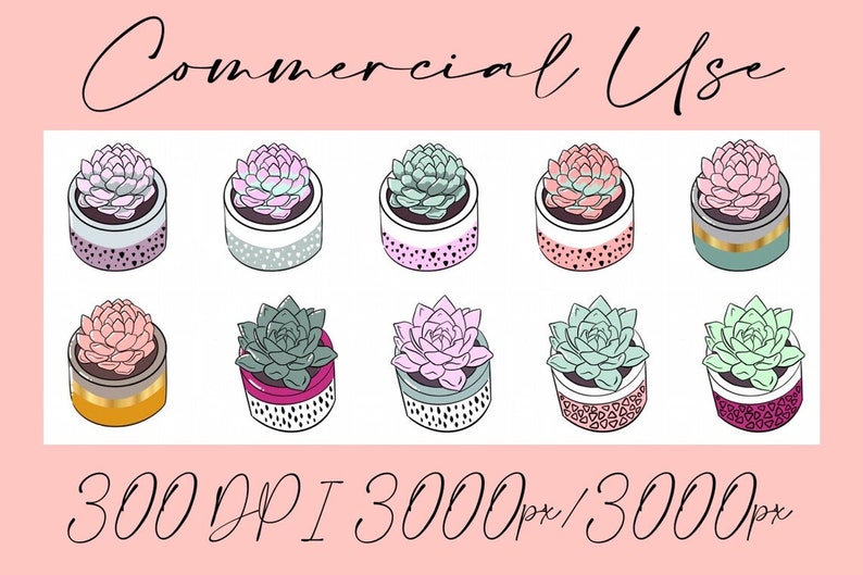 Succulents Clipart Plants Clip Art Set Commercial Use - Etsy