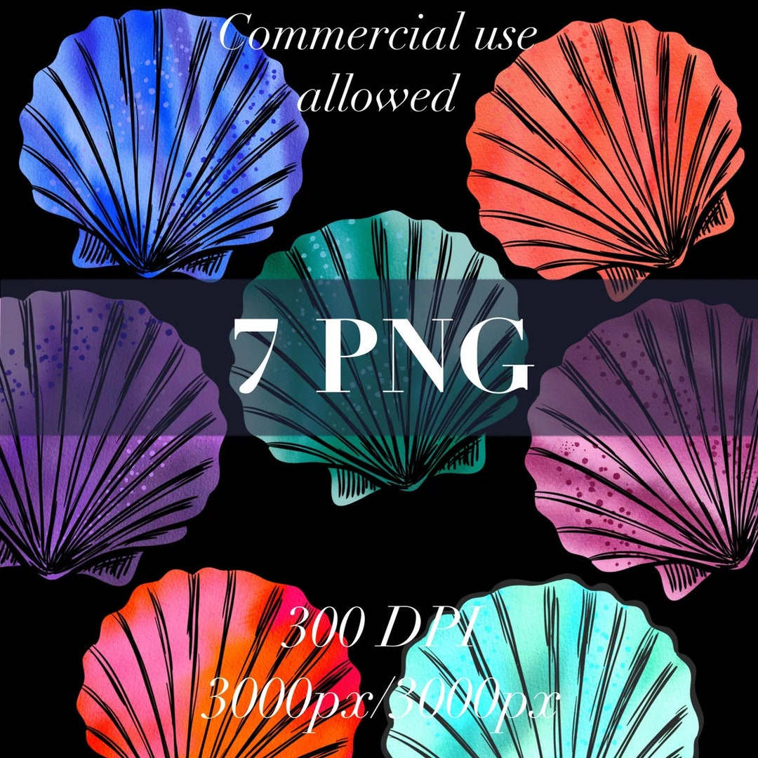 Shell Clipart, Watercolor Shell Design, Mussels Clipart Set, Rainbow ...