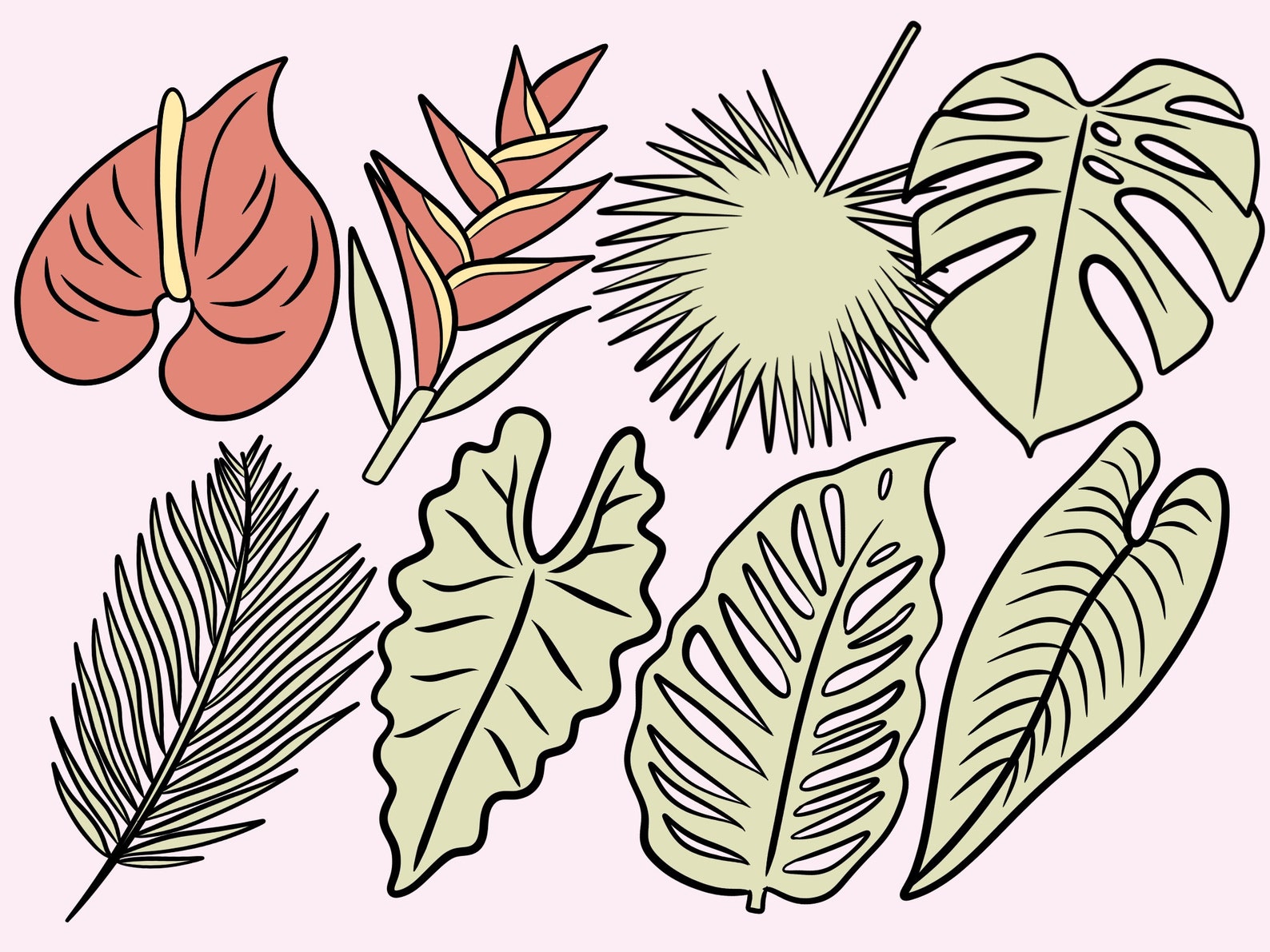 Groovy Animals Clipart Hippie Animals Clip Art Zoo Animals - Etsy