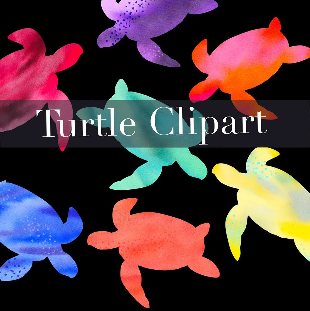 Turtle Clipart, Watercolor Turtle Art, Turtle Clip Art Download ...