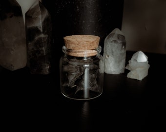 50 Bat Nuts, Devil Pod, Gargoyle Nuts, Gothic Halloween, Devil Head ...