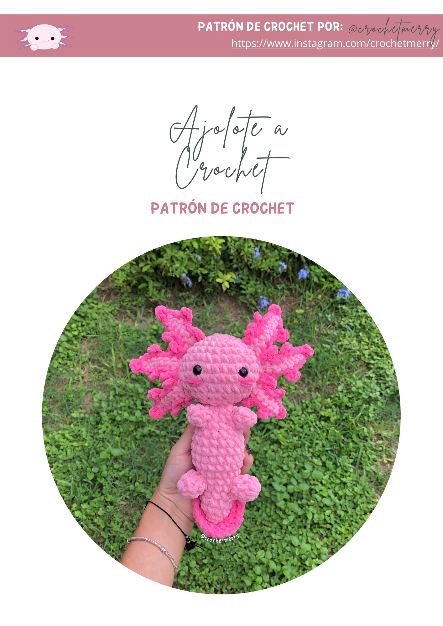 Minecraft Axolotl Pattern | Amigurumi Velvet Axolotl Crochet Pattern ...