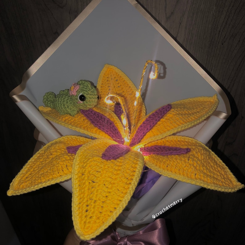 Pascal PDF Pattern | Patrón en PDF de Pascal | English & Español - Etsy México