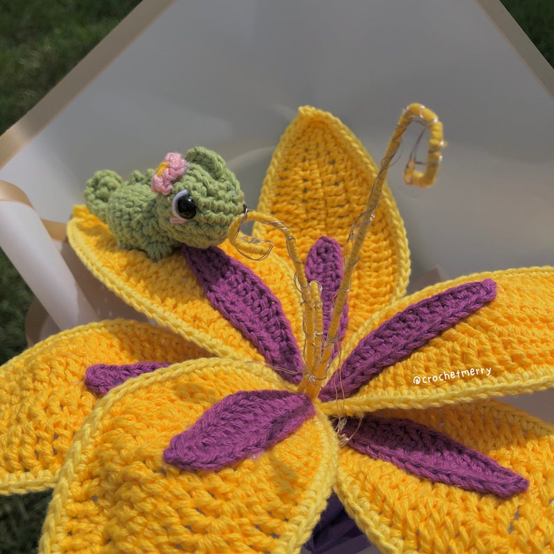 Pascal PDF Pattern | Pascal PDF Pattern | English & Spanish - Etsy