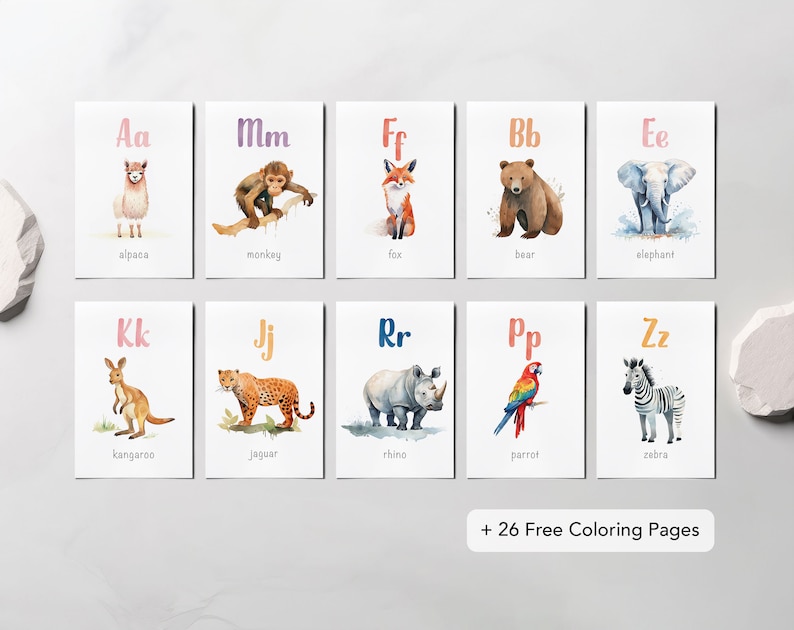 26 Animal Alphabet Flash Cards Classroom Decor Toddlers - Etsy