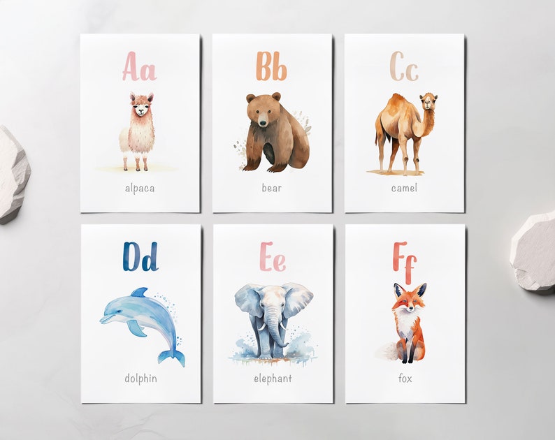 26 Animal Alphabet Flash Cards Classroom Decor Toddlers - Etsy
