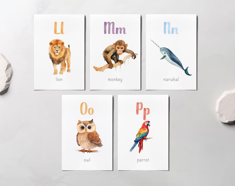 26 Animal Alphabet Flash Cards Classroom Decor Toddlers - Etsy