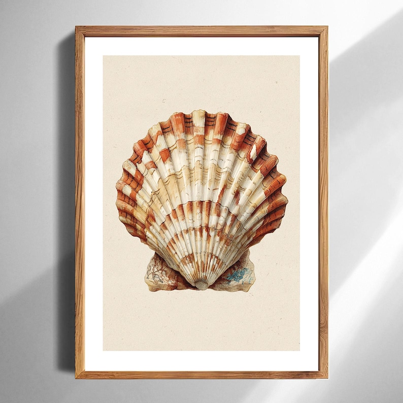 Vintage Scallop Shell Art Print on Premium Matte Paper for Coastal ...