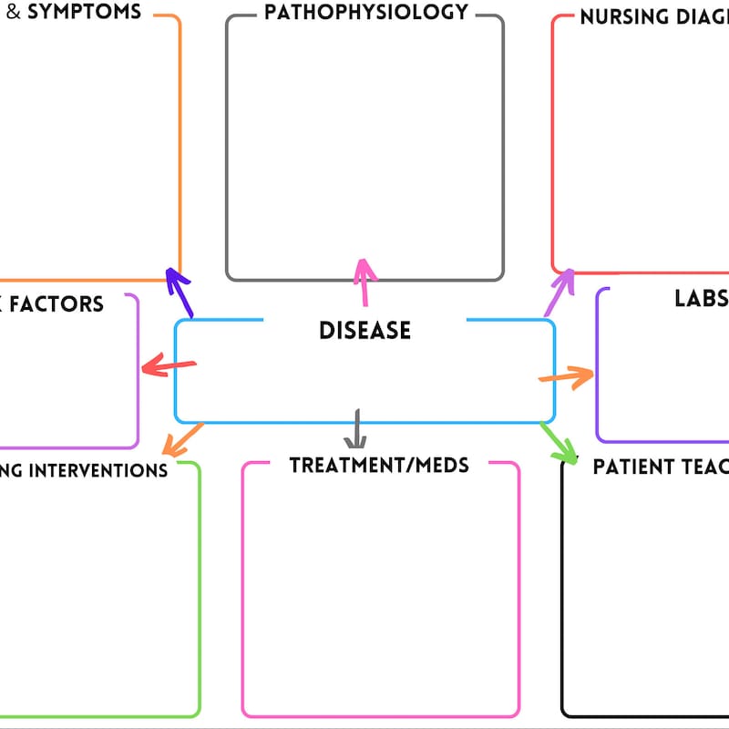 Med Surg Concept Map - Etsy