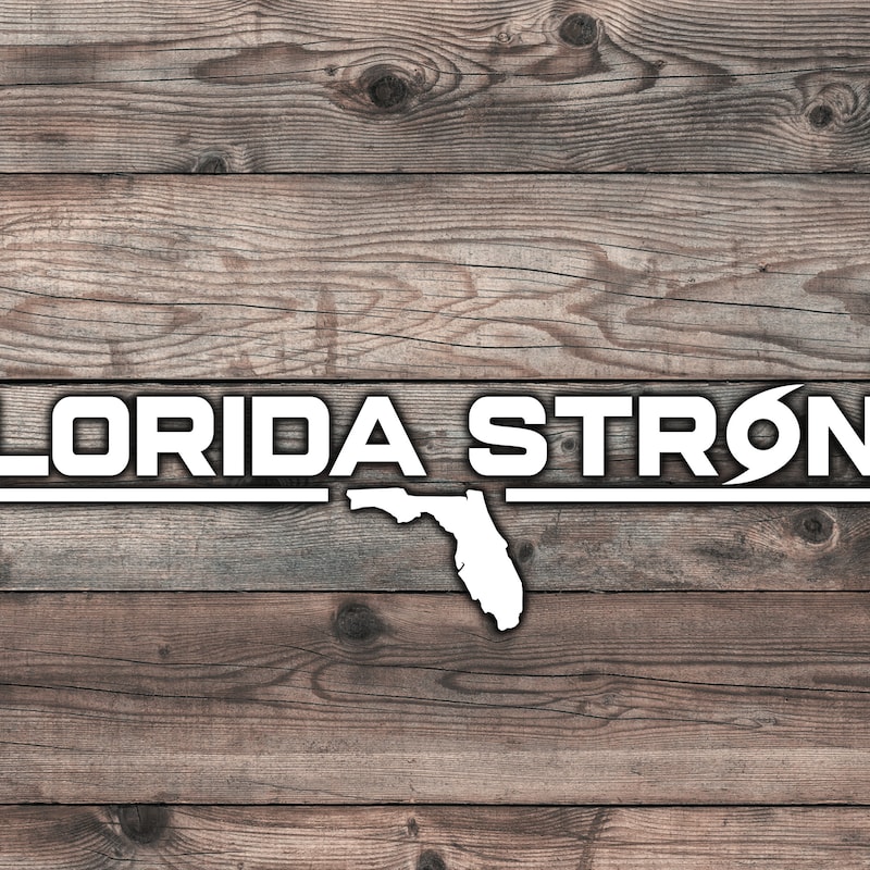 Florida Decal - Etsy