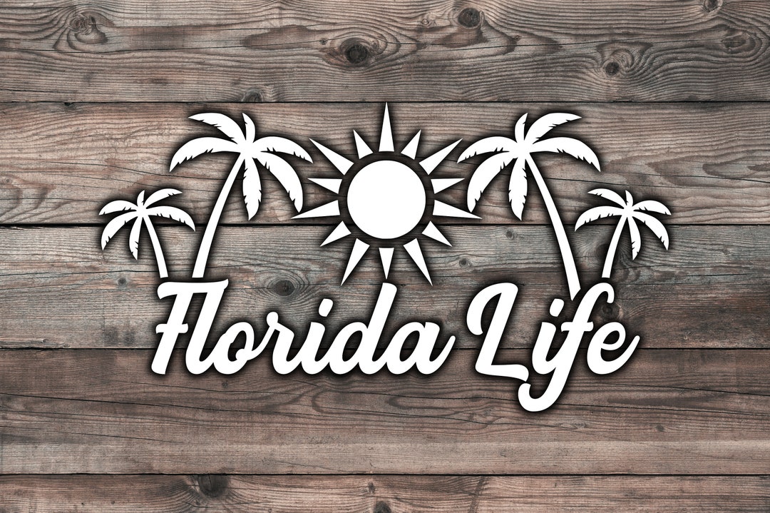 Florida Car Sticker - 7.5 X 4 in Florida Car Decal for Florida Native ...