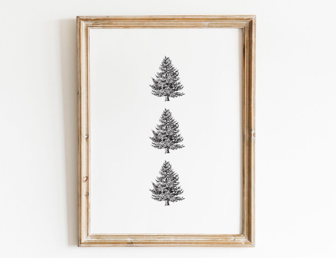 EVERGREEN TREE PRINTABLE | Instant Digital Download | Pdf Multiple ...