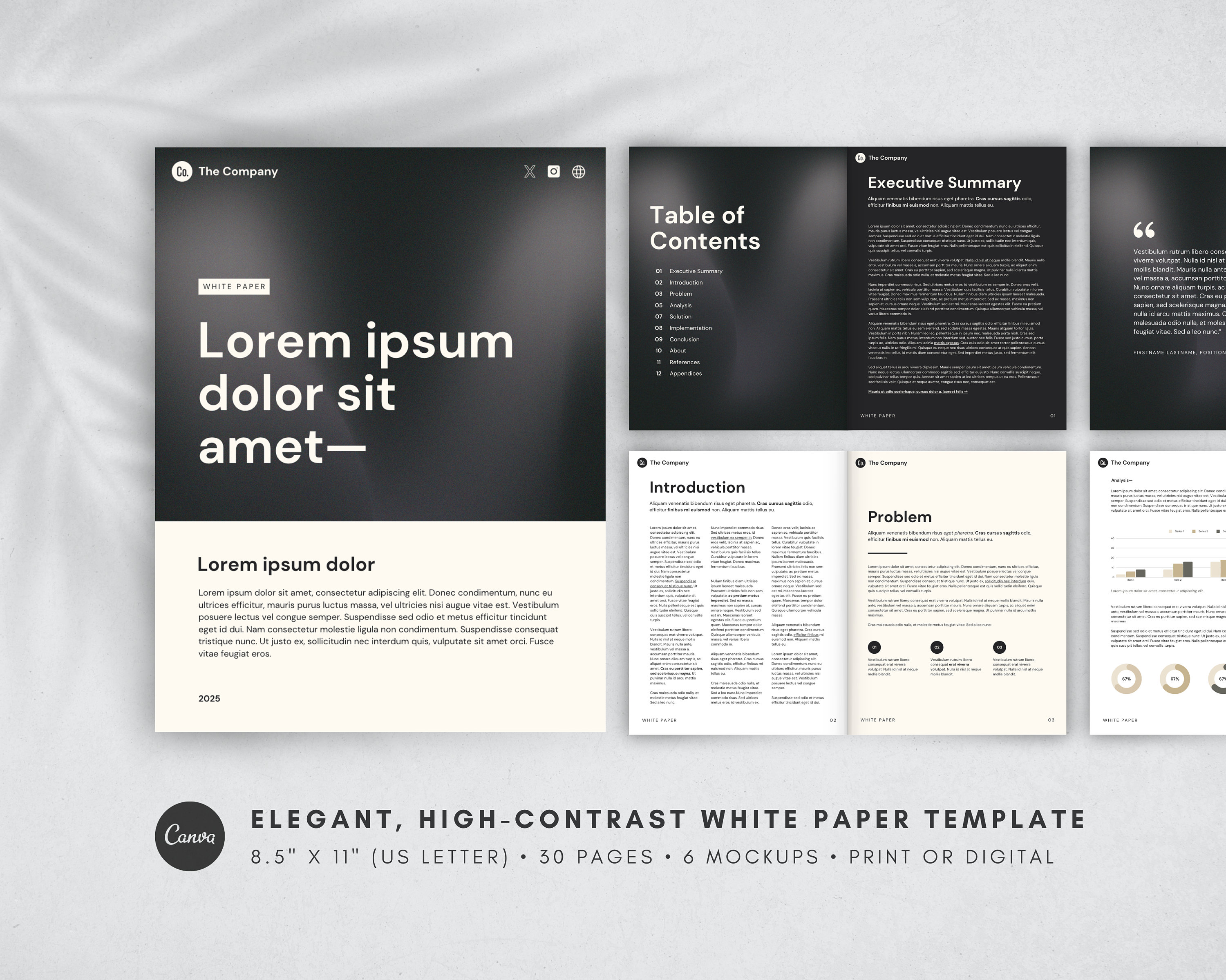 White Paper Template | Elegant, High-contrast | 8.5" X 11" | 30 Pages ...