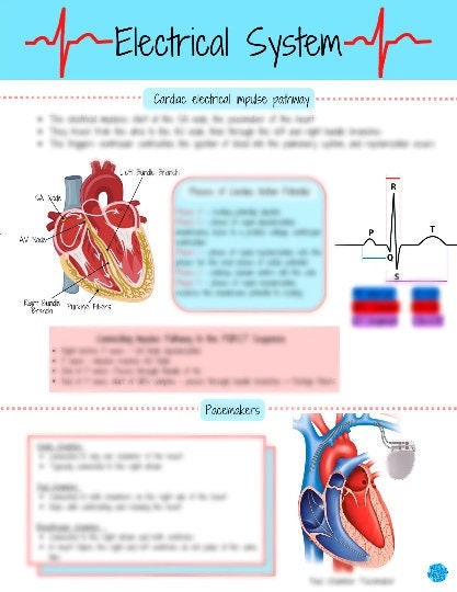 EKG Study Guide Printed Copy - Etsy