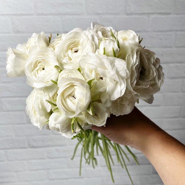 White Ranunculus - Etsy
