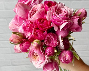 Amandine VIOLET Ranunculus Corms - Etsy