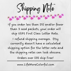 Lisianthus Voyage First Love 20 Seeds Packet White and Blush Pink - Etsy