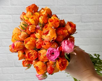 Amandine Orange Ranunculus Corms - Etsy