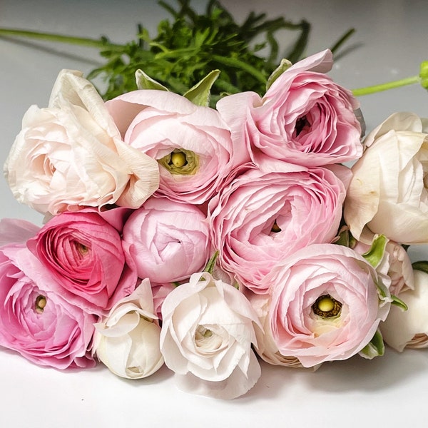 Ranunculus - Etsy
