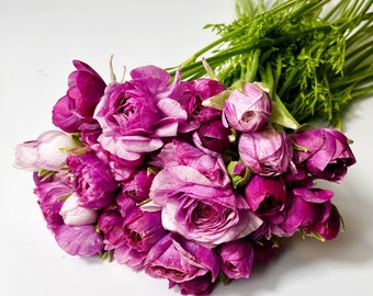 Amandine Orange Ranunculus Corms - Etsy