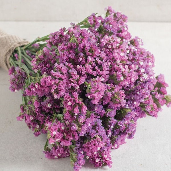 Statice Flowers - Etsy